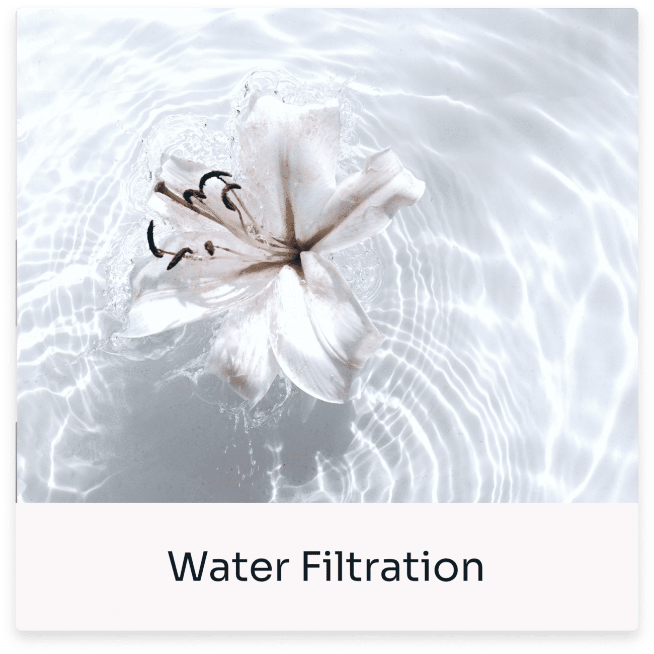 Indoor Sciences - Indoor Environmental Quality Management